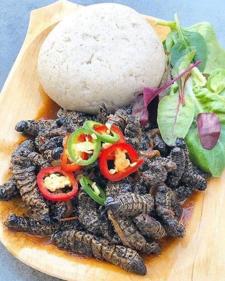 MACDONALD FOOD BUCKET